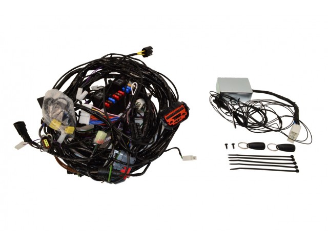 CHASSIS LOOM SEVEN 360, 420 AND 620 - Caterham Parts