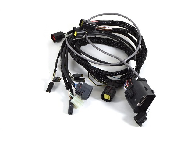 ENGINE LOOM DURATEC 2015 - Caterham Parts